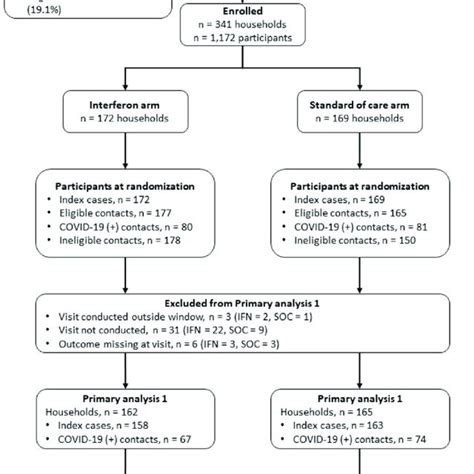 Consort Diagram Describing Participant Screening Enrolment Download Scientific Diagram