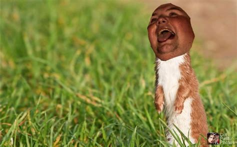 Spunk Weasel Blank Template Imgflip