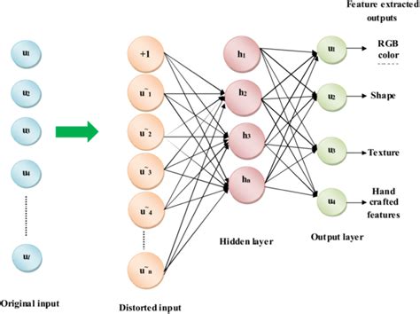 Da Based Feature Extraction Structure Download Scientific Diagram