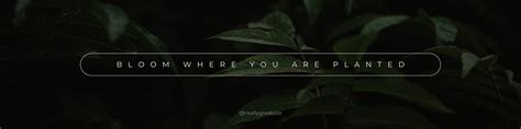 93 Background Quotes For Linkedin Pictures Myweb