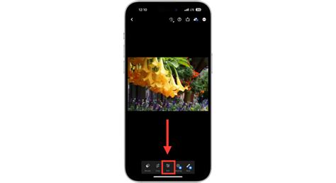 How To Fix Blurry Pictures On Iphone In Different Ways