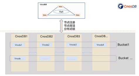 cnosdb metadata cluster the brain of a distributed time series database