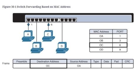 CCNA Study Guide Flashcards Quizlet