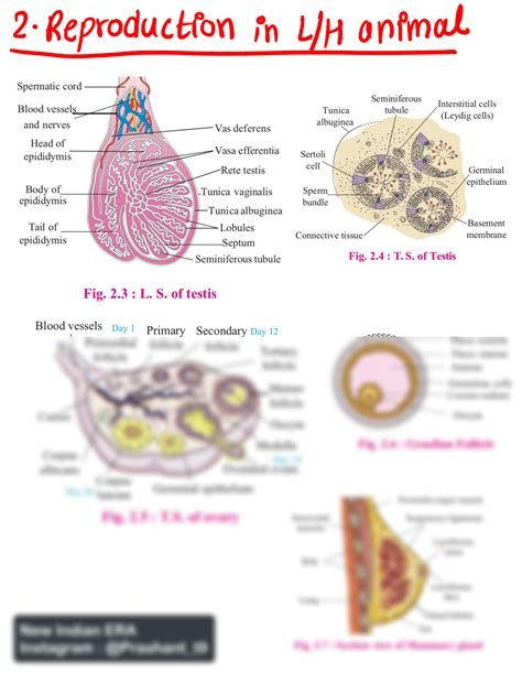 Solution Biology Imp Diagram Class 12 Studypool