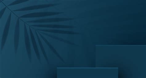 제품 브랜딩 및 포장 프리젠테이션 기하학 형태의 원형 성형을 위한 화장품 배경 프리미엄 벡터