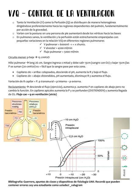 Resúmenes De Relación Ventilación Perfusión Descarga Apuntes De Relación Ventilación Perfusión