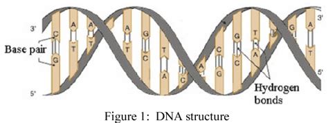 Figure 1 From Modified Technique Of Insertion Methods For Data Hiding