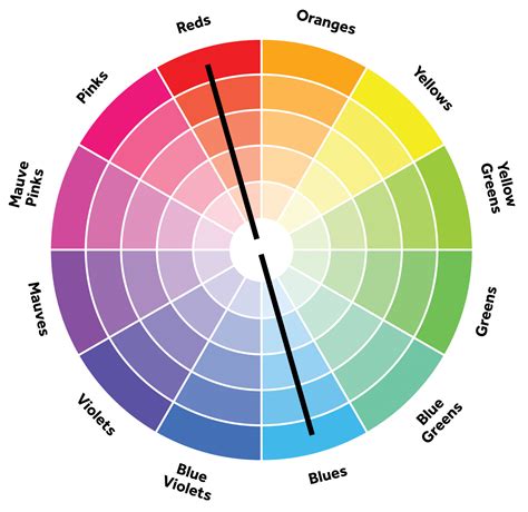 Roda De Cores Cores Complementares Teoria Das Cores Esquema De Cores