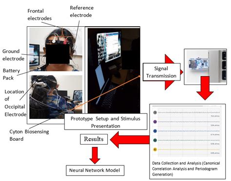 Brain Computer Interface BCI Equipment Setup And Experimentation