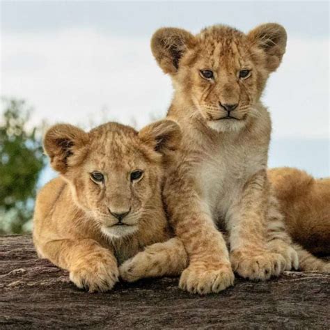 Use Cases Spiderweb Labs