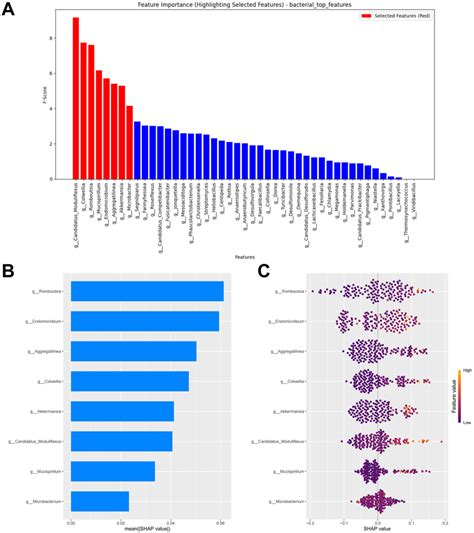 Bacterial Feature Selection And Shap Methodology A Importance Download Scientific Diagram