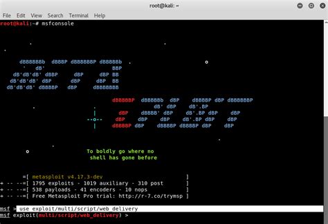 From Command Injection To Meterpreter Shell Detailed Tutorial 2018