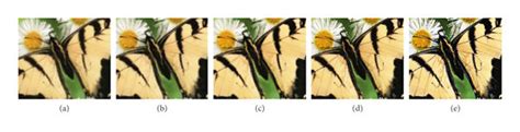 Local Block Enlargement Of The Butterfly” Image Reconstruction Result Download Scientific