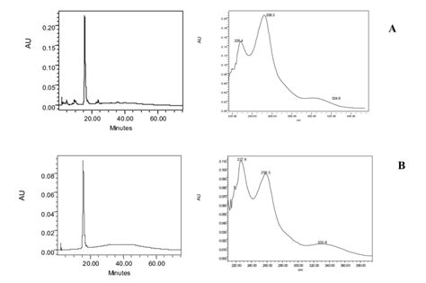 Hplc Profile And Uv Spectrum Of The Main Peak Of The Methanolic