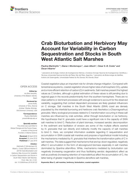 Pdf Hypothesis And Theory Crab Bioturbation And Herbivory May Account