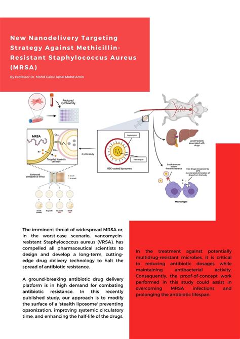 New Nanodelivery Targeting Strategy Against Methicillin Resistant Staphylococcus Aureus Mrsa