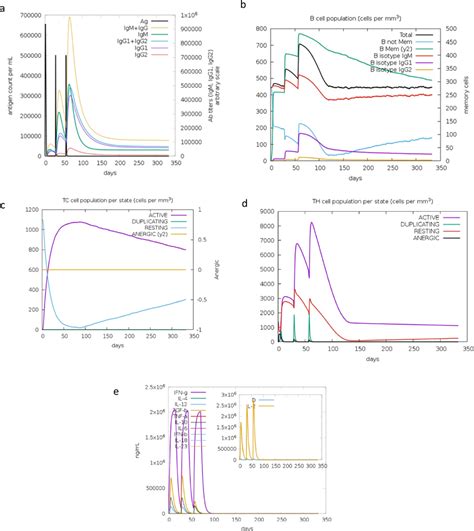The Computational Immune Simulation Of The Vaccine Construct Under The