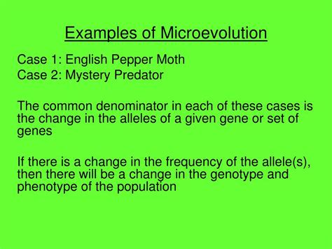 PPT The Process Of Microevolution PowerPoint Presentation Free Download ID 4247765