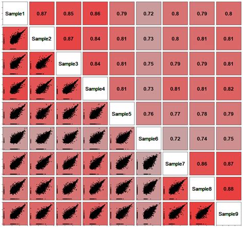 跟着 Nature 学作图 相关性热图（显示相关性散点图） Csdn博客