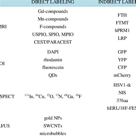 Schematic Illustration Of Two Cell Labeling Strategies Left Indirect