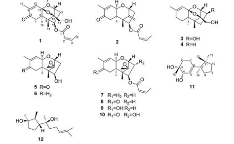Structures Of Compounds Download Scientific Diagram