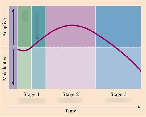 General Adaptation Syndrome Diagram Quizlet