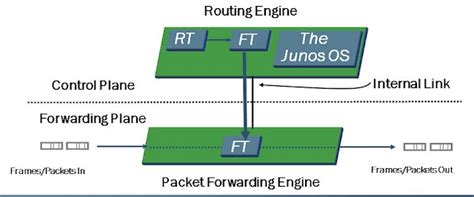 Juniper Basic Juniper Basic