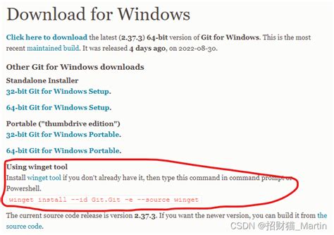 Winget试用安装gitwinget Install Id Gitgit E Source Winget Csdn博客