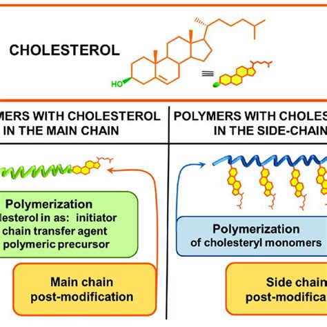 Polymerization Methods Used For The Synthesis Of Cholesterol End Capped