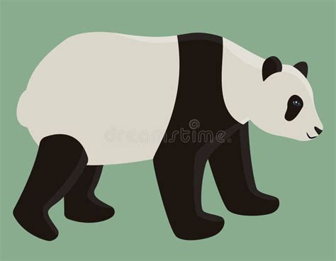 Walking Panda Stock Vector Illustration Of Black Panda 19811869