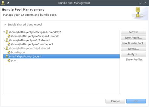 How Are Bundle Pools And Agents Related In Eclipse Oomph Stack Overflow