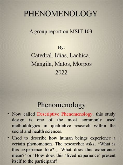 Phenomenology Gr Report Pdf Focus Group Interview