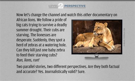 Objectivity And Bias