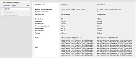 Besa® Brain Electrical Source Analysis Besa Connectivity Features In Besa Connectivity 2 0