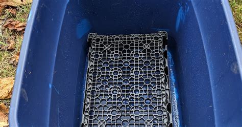 Unlocking The Potential The Advantages Of SIP Container Gardening REAL LIFE