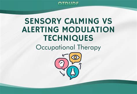 Occupational Therapy Sensory Systems At Theodora Dunavant Blog