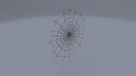 3d Spider Web Model Turbosquid 2325690