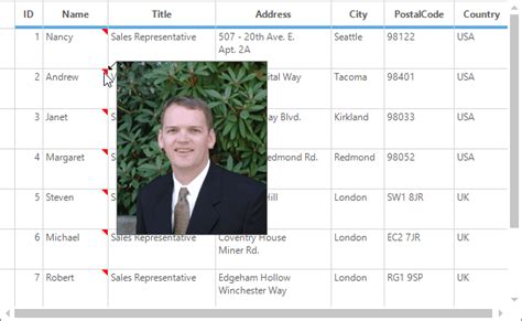 Comment Tip In Windows Forms Gridgrouping Control Syncfusion®