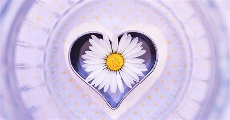 Your Networking Plan Internal Groove