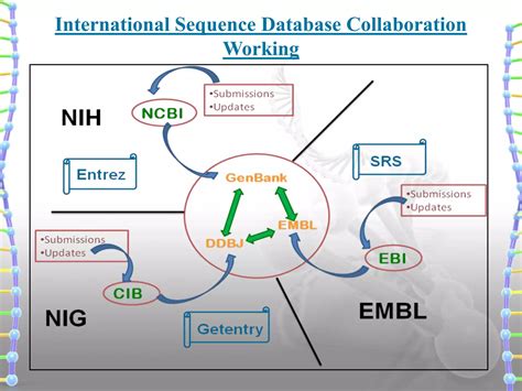 Introduction To Ncbi Pptx Databases Computer Software And Applications