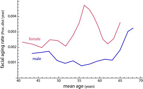 Facial Aging Trajectories A Common Shape Pattern In Male And Female