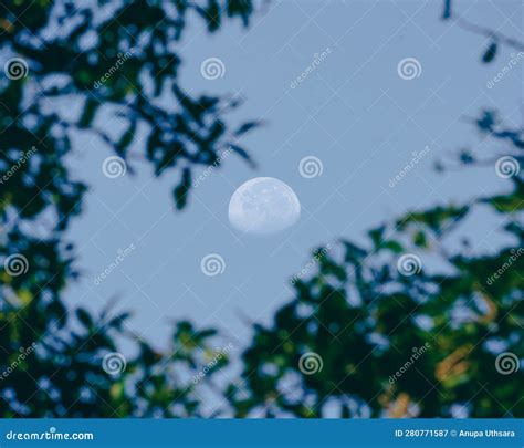 Hidden Moon Stock Image Image Of Tree South Kirala 280771587