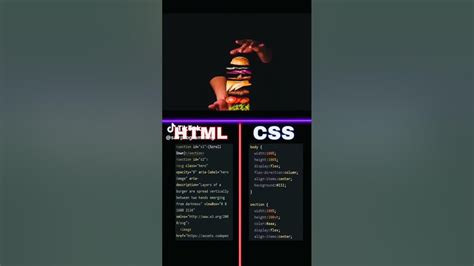 Interesting Codingworld Developers Programminglanguage Youtube