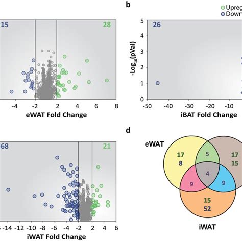 Gene Expression Analysis Of Different Adipose Tissue Depots From Mice