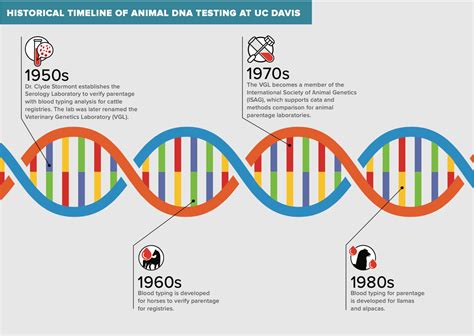 Evolution Of Genetic Testing At Keith Turner Blog