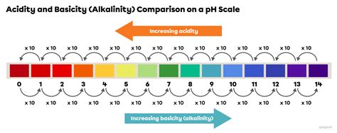 The Ph Scale And Acid Base Indicators Secondaire Alloprof