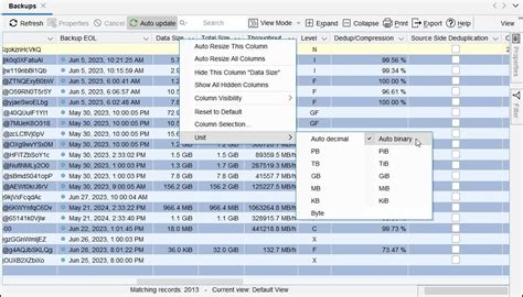 Source Changing Data Size Units SEPsesam