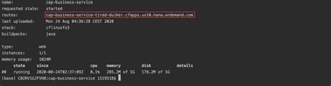 Use The Sap Cloud Sdk In The Sap Cloud Application Programming Model