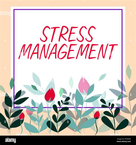 Conceptual Display Stress Management Concept Meaning Learning Ways Of Behaving And Thinking