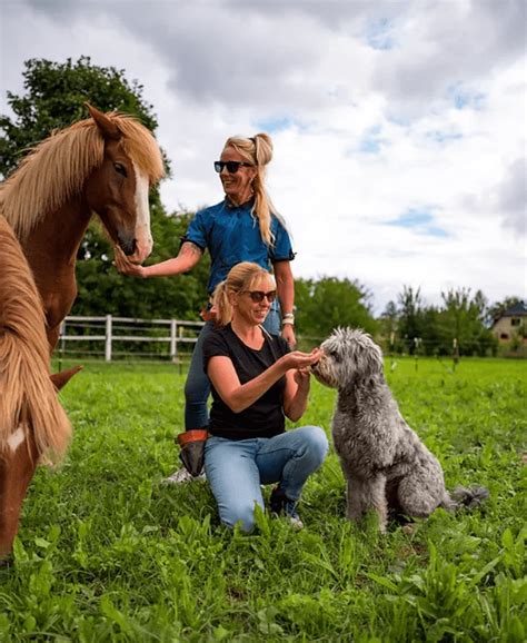 Exploring Nuances Eva Bertilsson